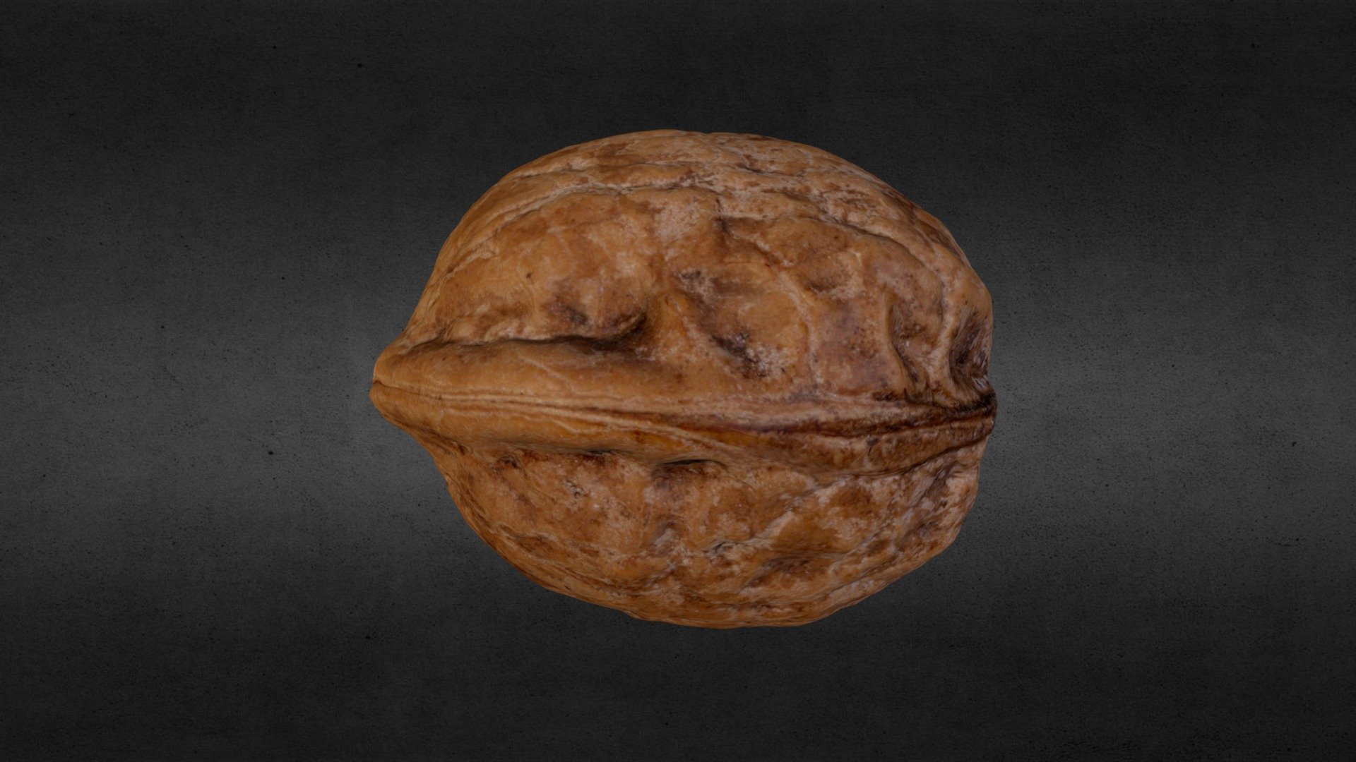 Walnut_3D_Photogrammetry - 3D model by Hipervision.eu (@MarkoV ...