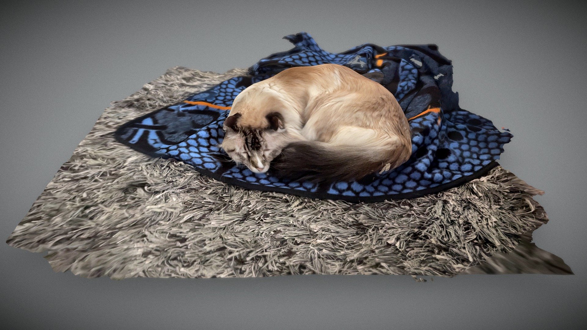 3D CatScan - Download Free 3D model by mikelyden [0bf25da] - Sketchfab