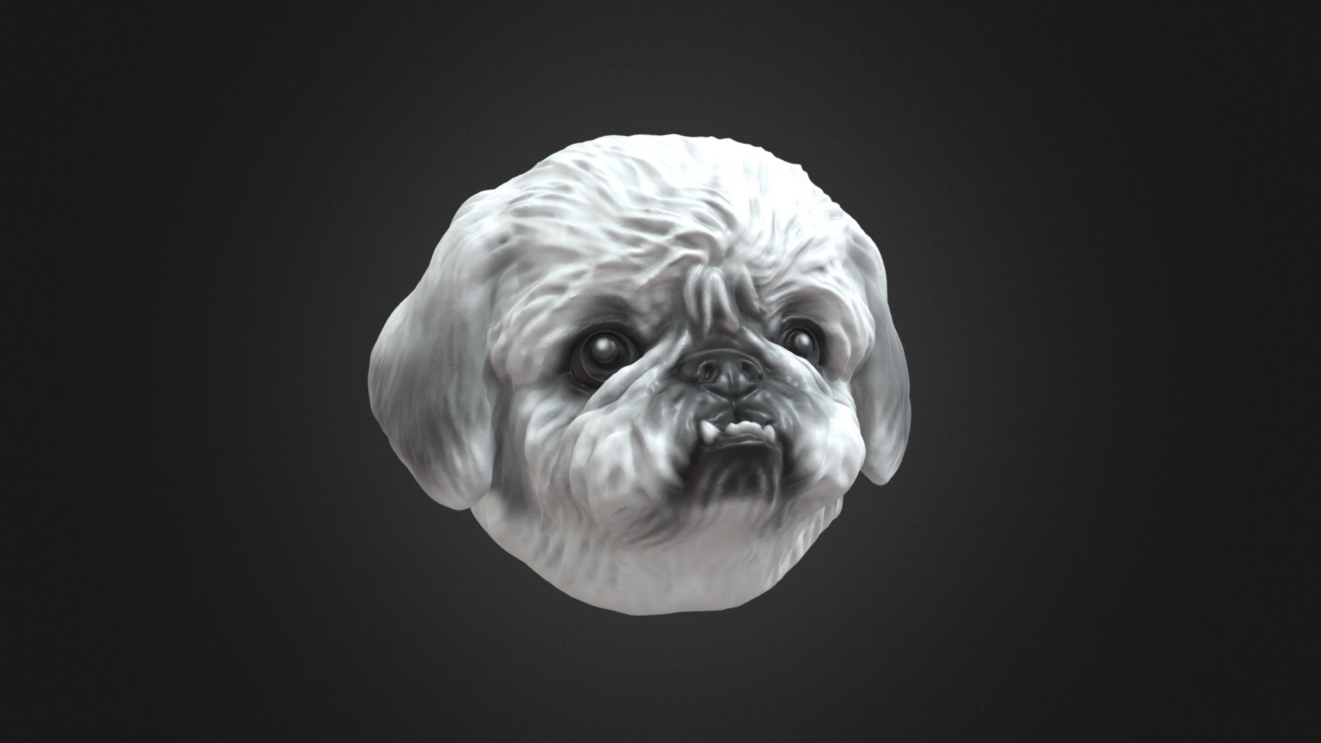 Ms Suen's Shih Tzu model - 3D model by Seed by mi (@seedbymi) [0bf3131 ...