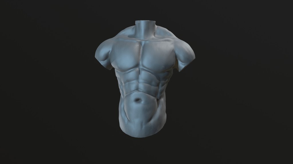 male torso - A 3D model collection by dodrhdrld - Sketchfab