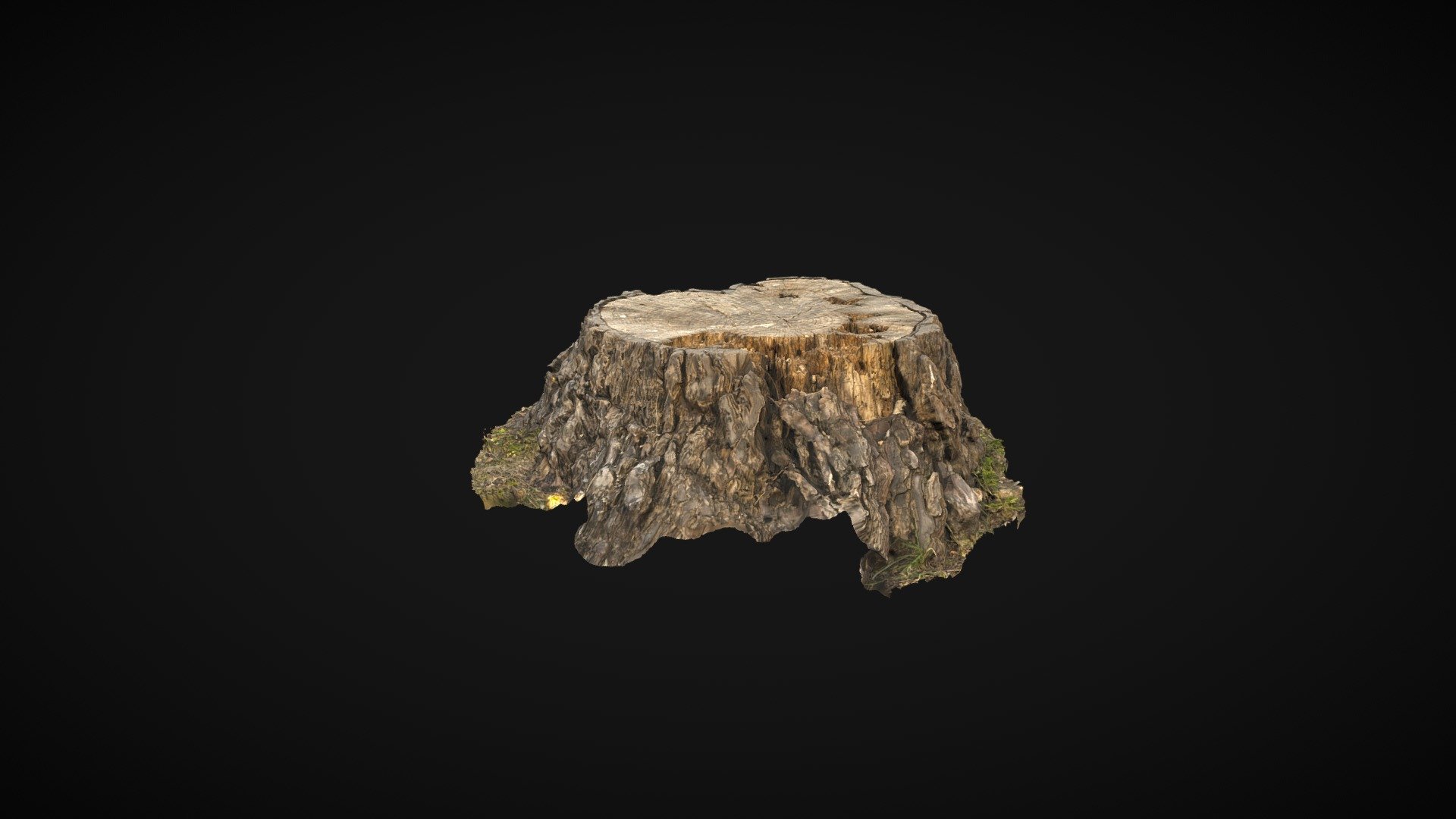modelo Tronco - 3D model by ArmandoPineda [0bf7eed] - Sketchfab
