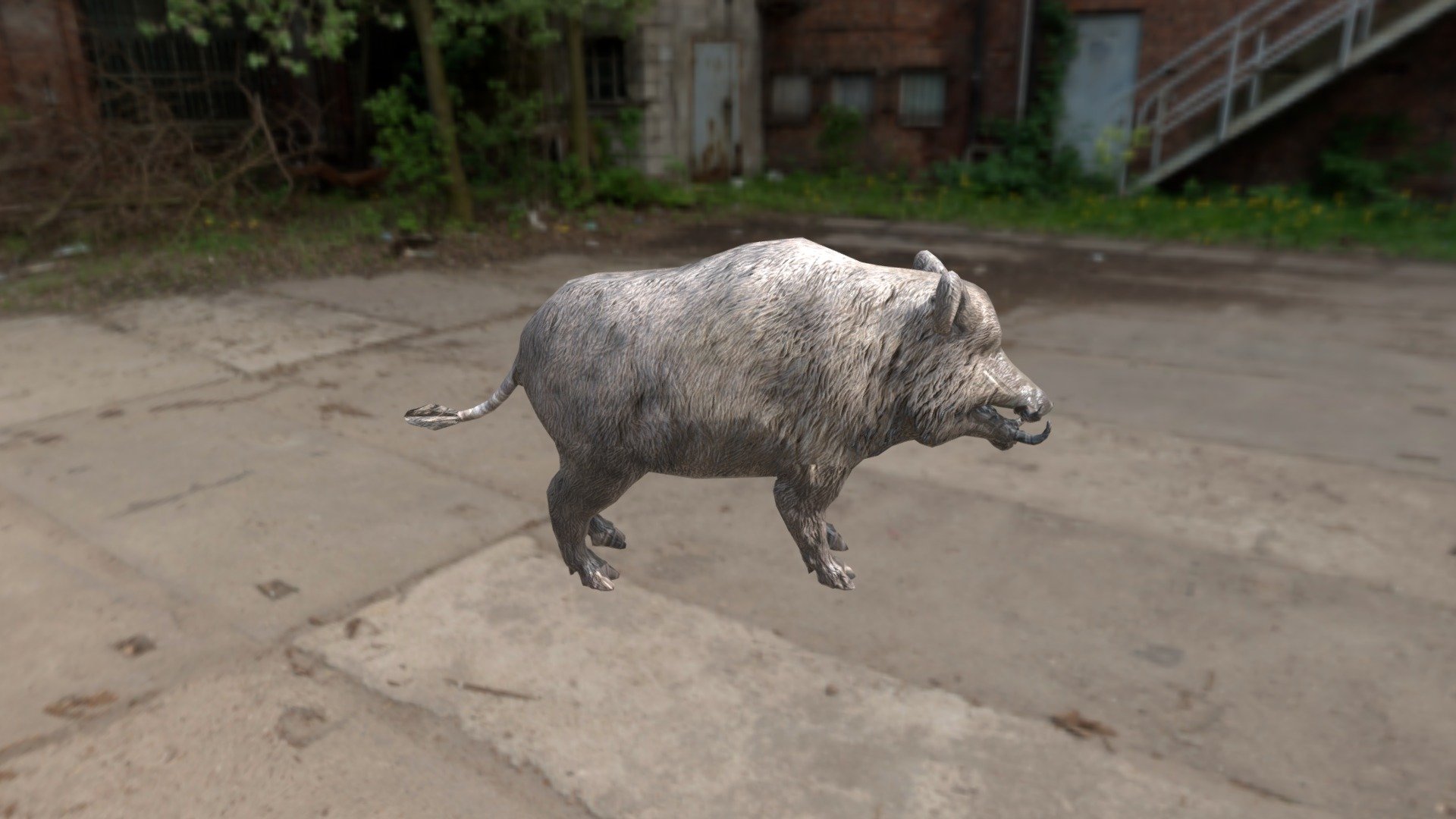 Boar - 3D model by wetpwnage [0bf88e7] - Sketchfab