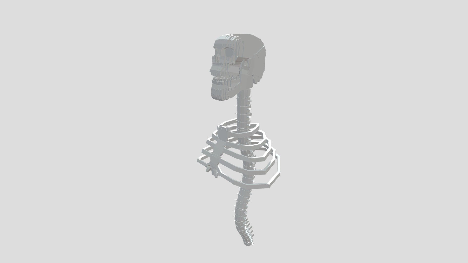 skelet - 3D model by vingastrimy [0c00e3b] - Sketchfab