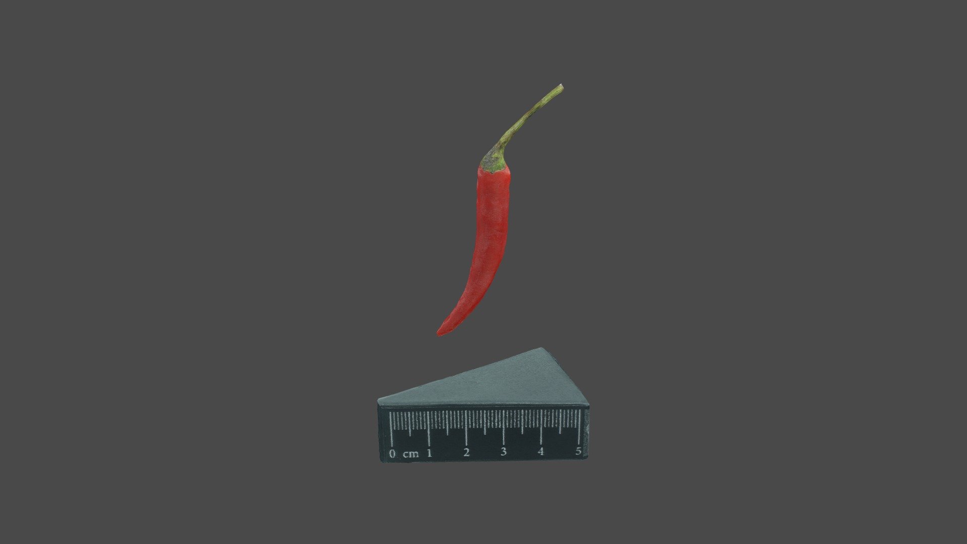 พริกชี้ฟ้า scale bar - Download Free 3D model by 65201101047 [0c0ea24 ...