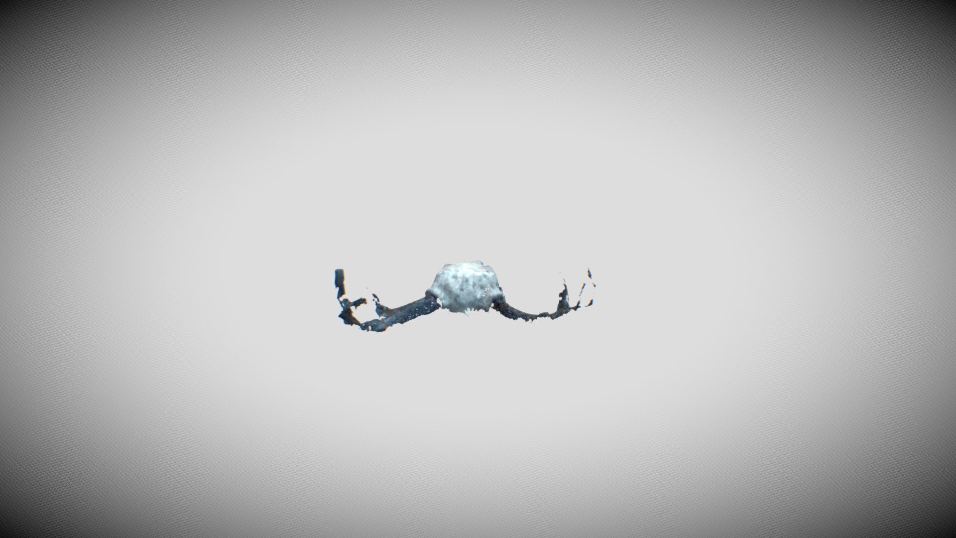 Skull - 3D model by adamsgc1 [0c1dc8d] - Sketchfab