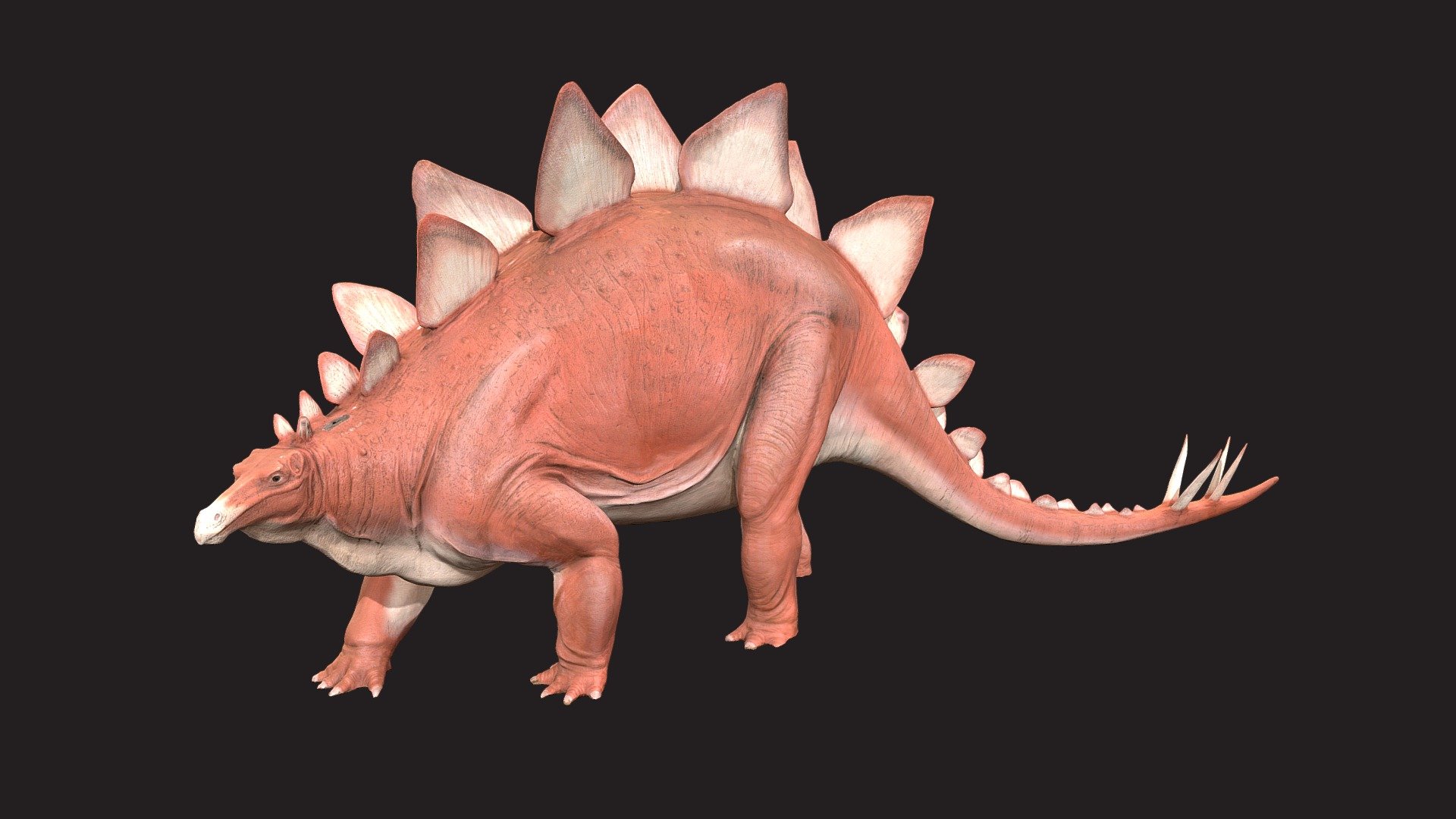 Steggie II - 3D model by Cleveland Museum of Natural History (@CMNH ...