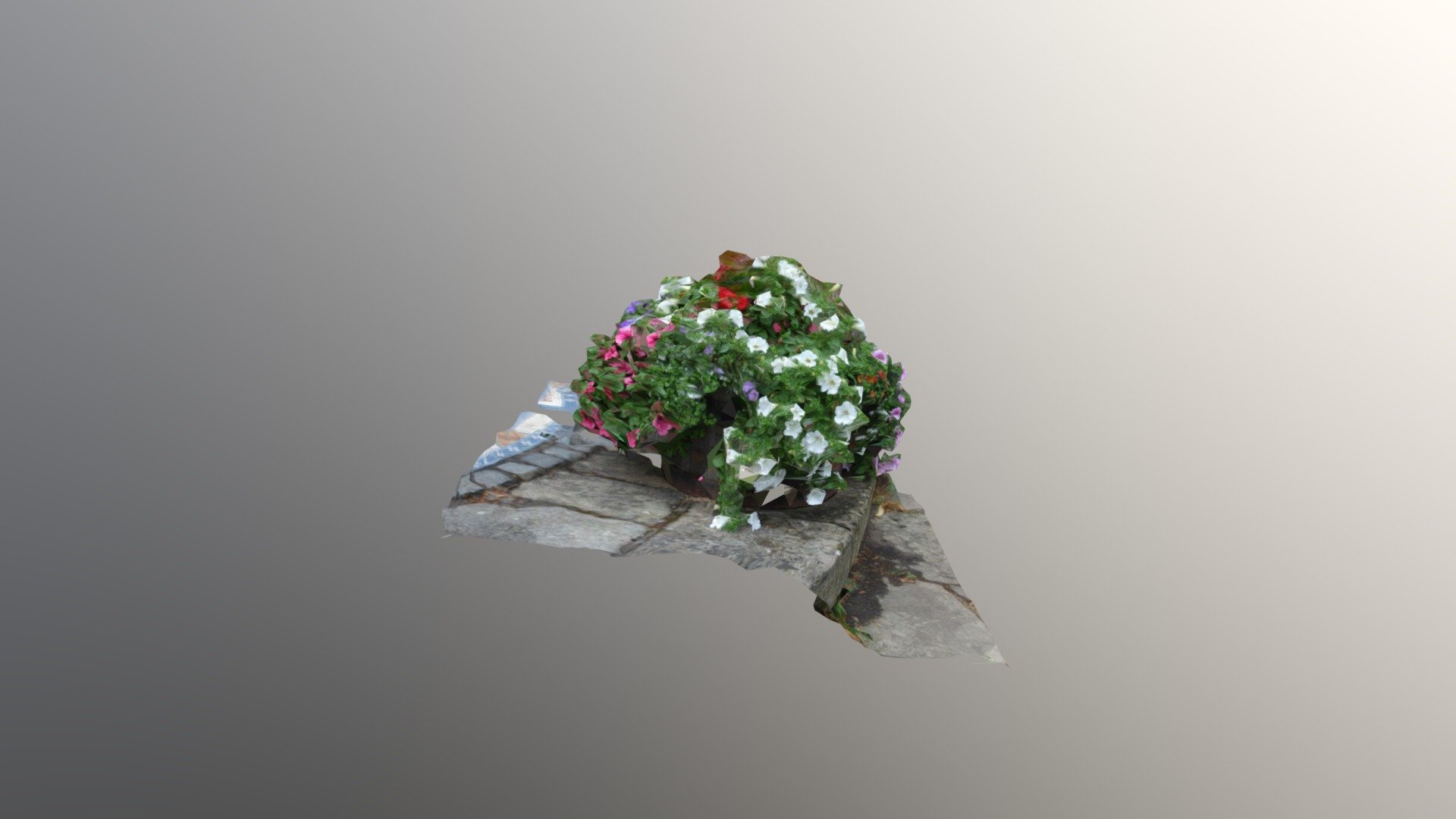 Flowers in pot - Port Sunlight - 3D model by Scenegraph Studios ...