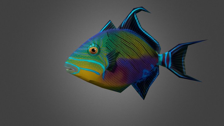 Triggerfish 3D models - Sketchfab