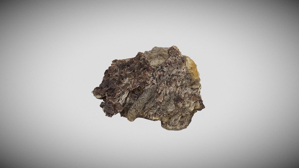 Metamorphic Rocks and Minerals - A 3D model collection by paselkin ...