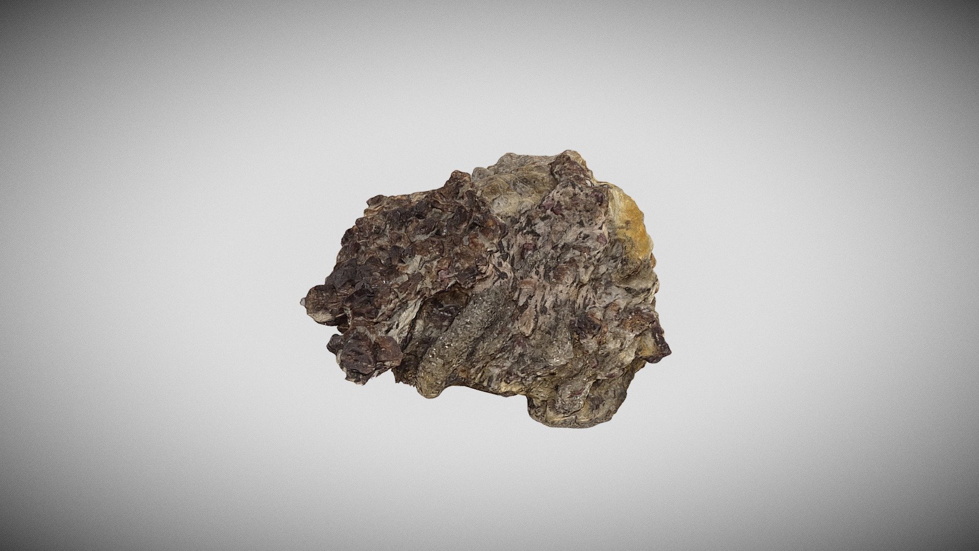 Staurolite-garnet-muscovite-biotite schist - Download Free 3D model by ...