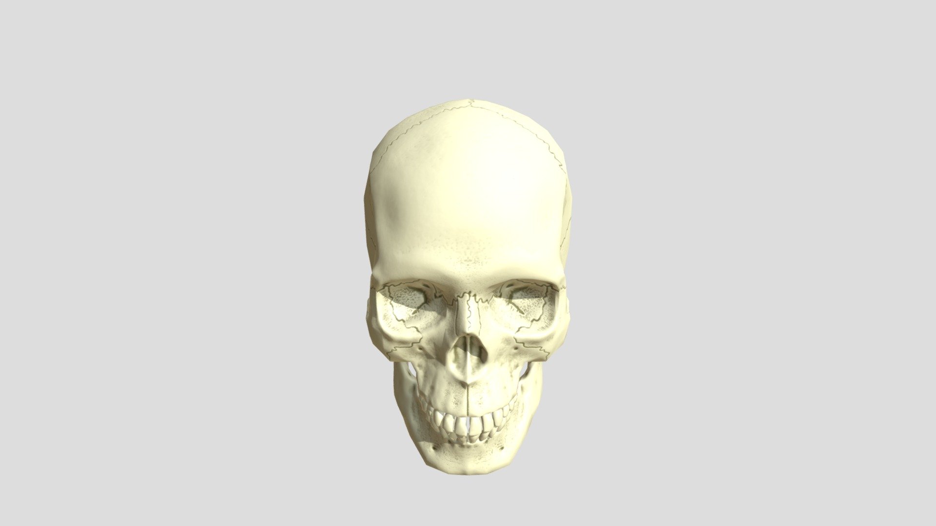 Low poly skull - 3D model by Jancsitata [0c3a026] - Sketchfab