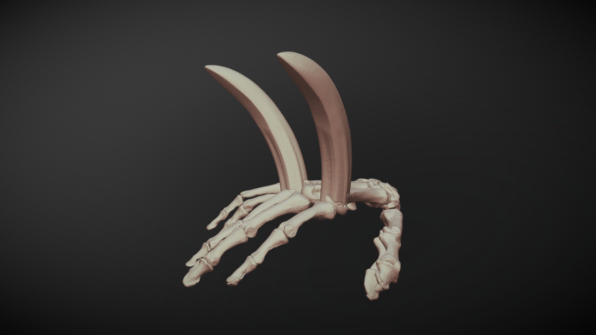 Clawman (Homo scrofa), by Kyle Cordell - 3D model by Digital Dinosaurs ...