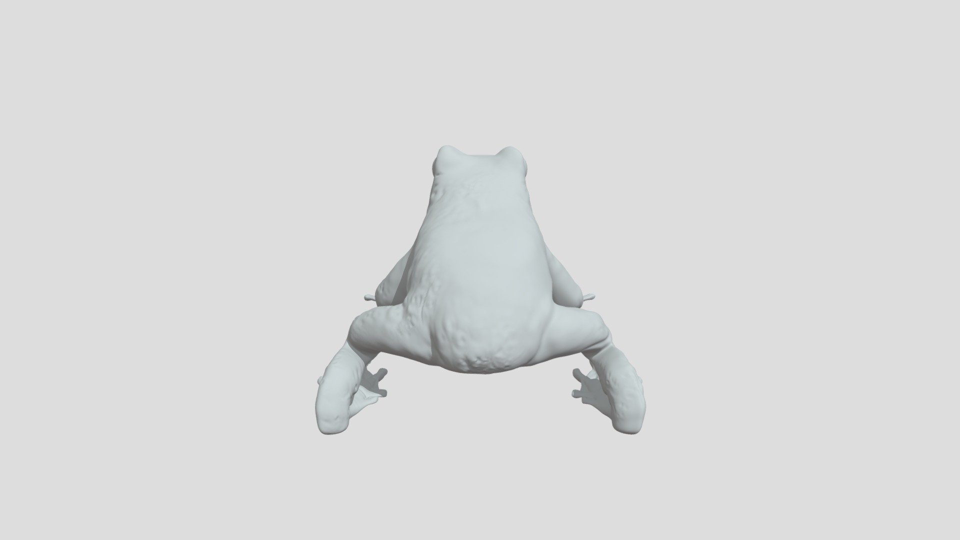 Frog Model - 3D model by Caramellized [0c3d07f] - Sketchfab