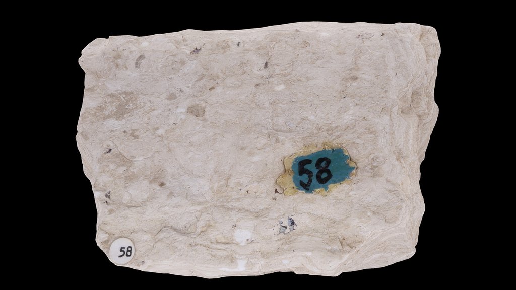 sedimentary rocks - A 3D model collection by rocksandminerals - Sketchfab