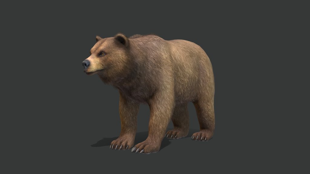 Beasts - A 3D model collection by Wolven_Stormer - Sketchfab