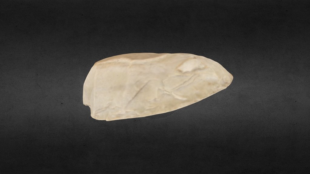 Turtleback Scraper - 3D model by Center for Archaeological Research ...