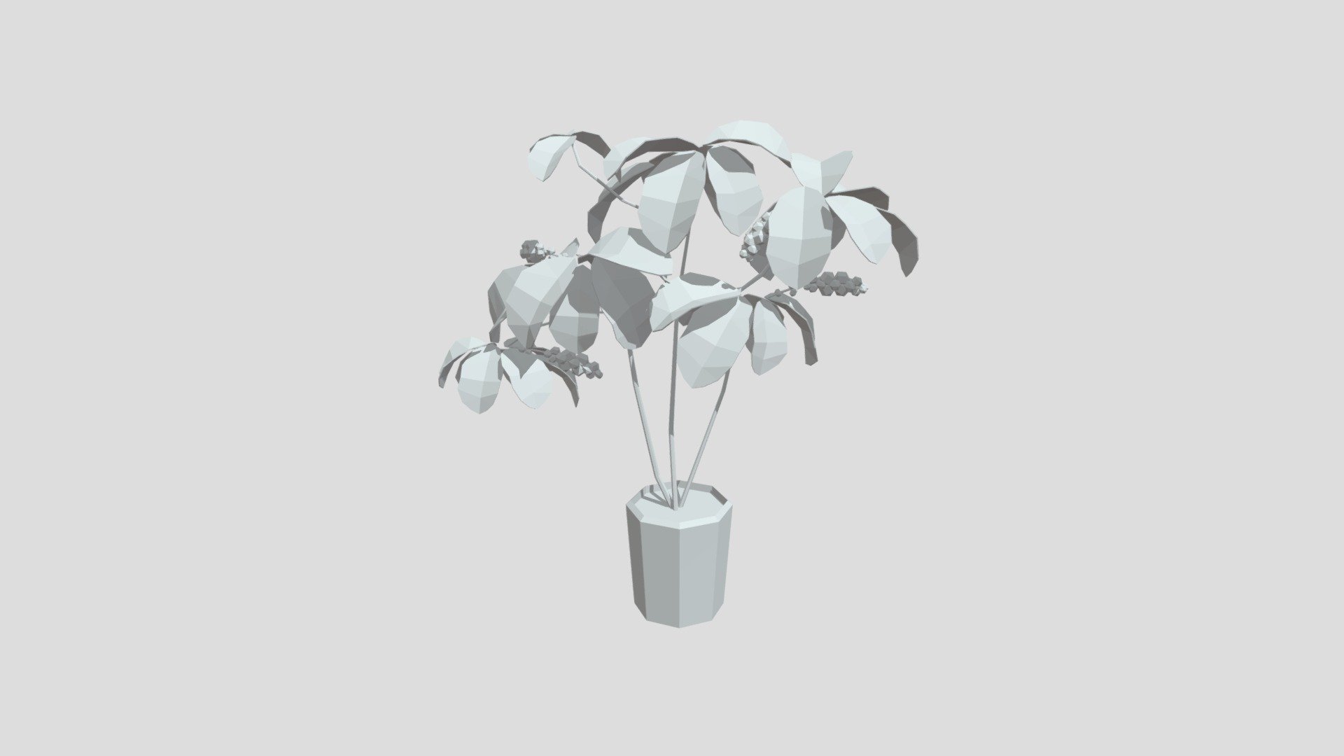 Coffee Plant - Download Free 3D model by neutralize (say thanks ...
