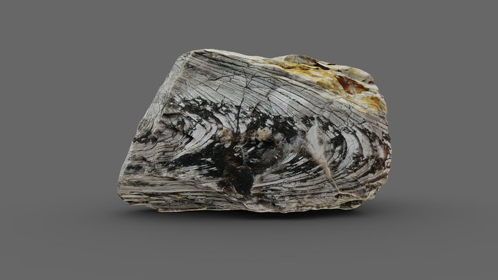 CSULB Geology (@richard.behl) - Sketchfab
