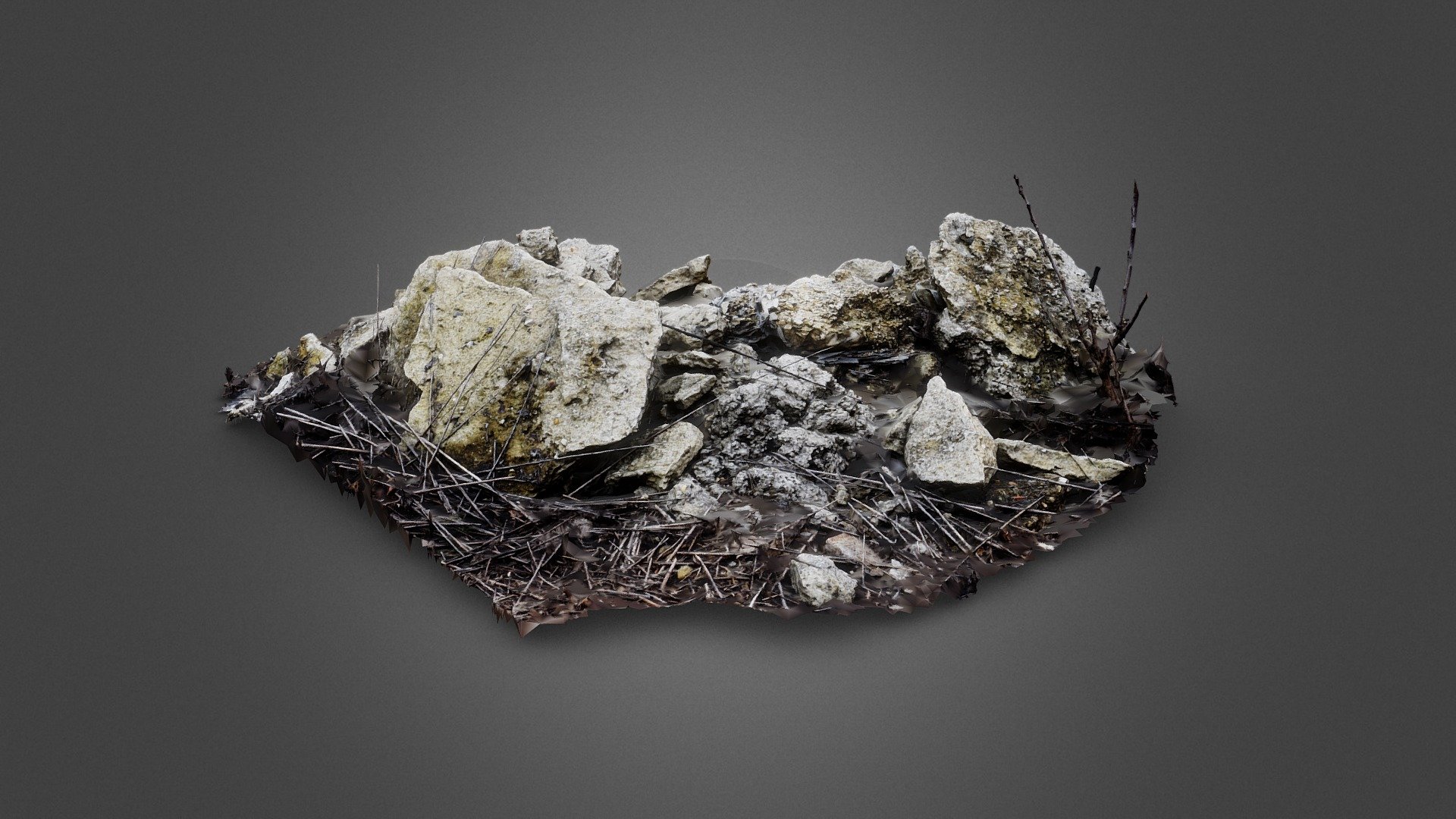 Rubble Scan Raw - Buy Royalty Free 3D model by PhotoGramGear [0c8a12d ...