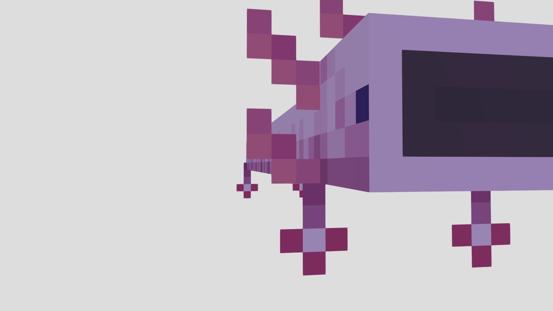 long Axolotl - 3D model by omelet_frog [0c96260] - Sketchfab