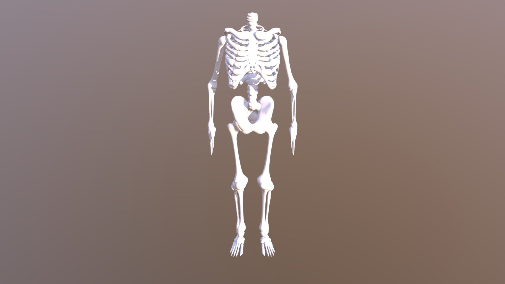 Skeleton Sculpt - 3D model by NikkeiZX [0c96da1] - Sketchfab