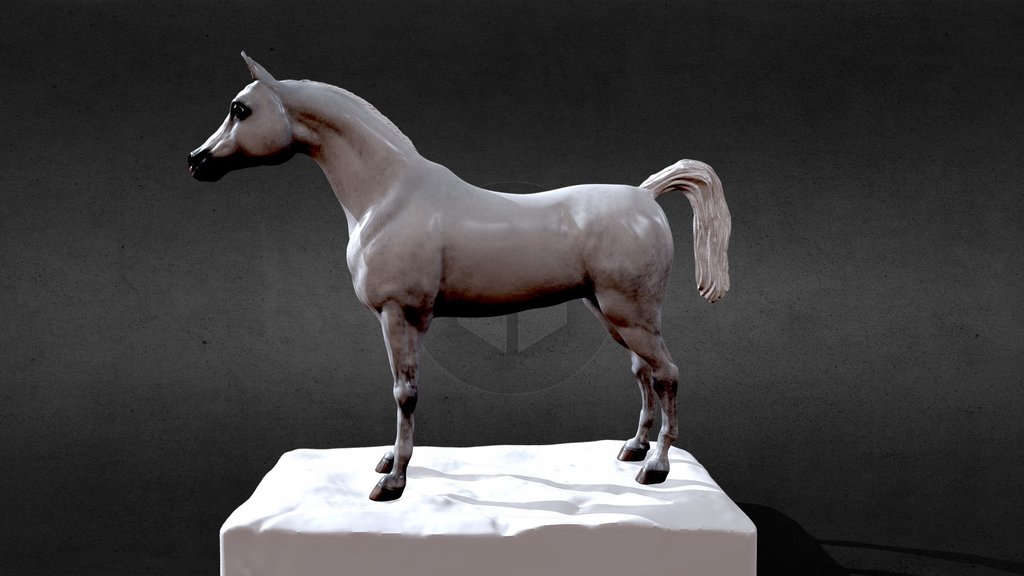 Free Animals - A 3D model collection by GetSchwifty3D (@getschwifty ...