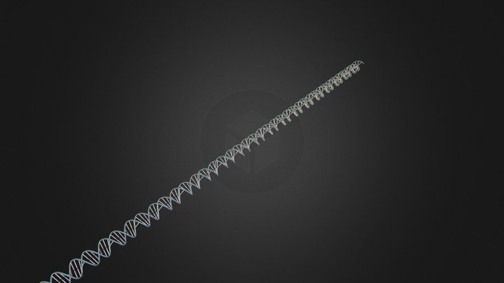 Ribosome 3D models - Sketchfab