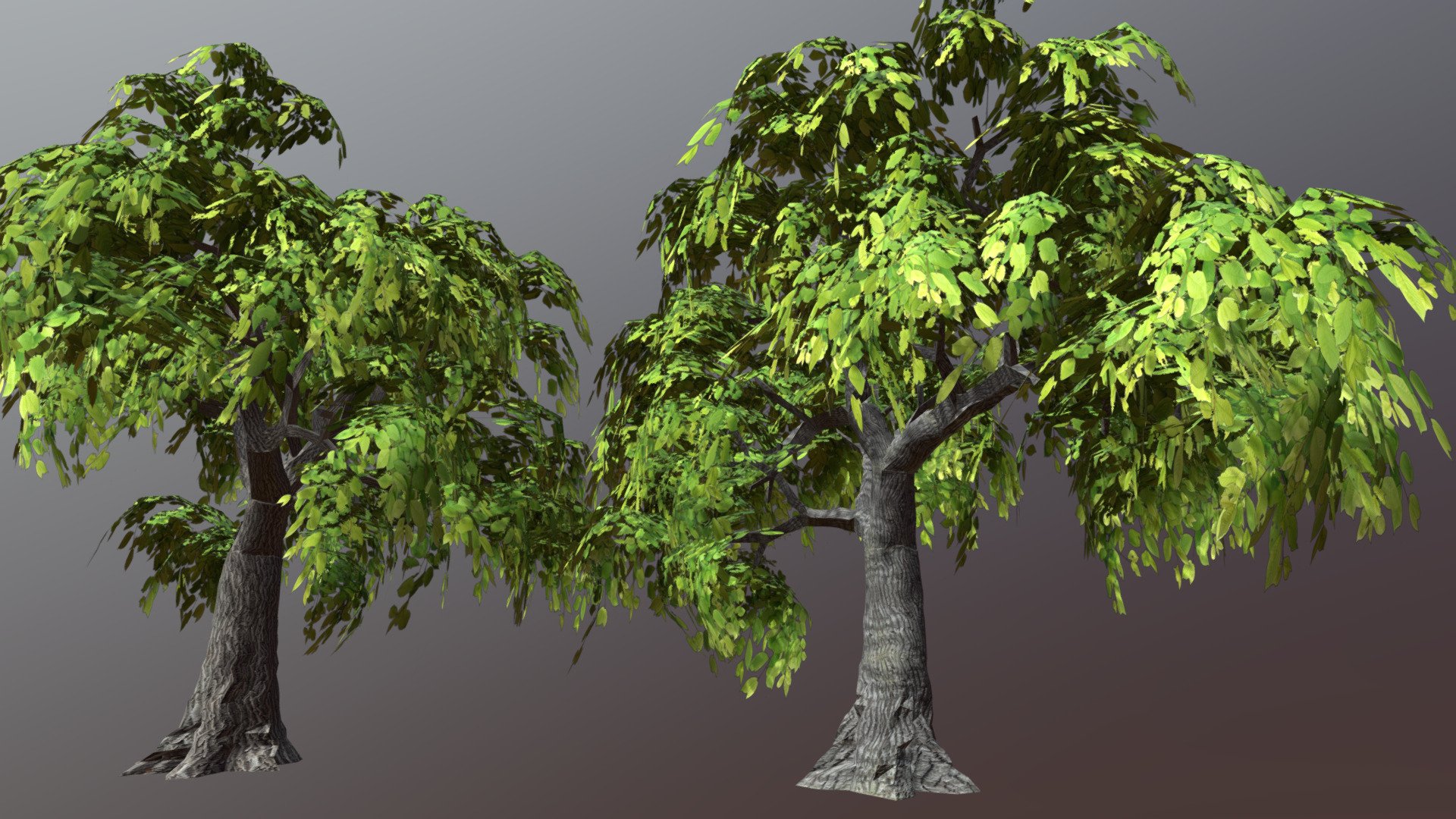 Two Deciduous Trees (low-Poly) - Download Free 3D model by Sereib ...