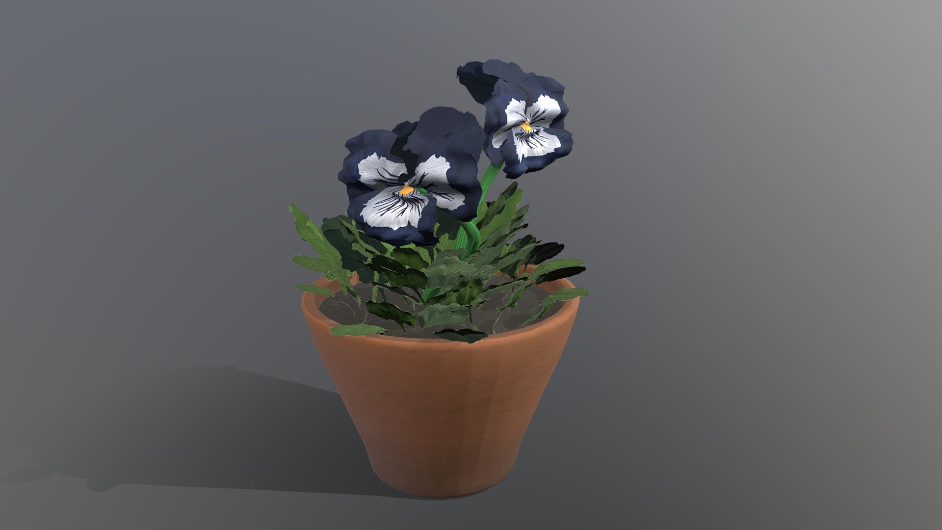 Bad pansy- Cait - 3D model by caits [0ca330d] - Sketchfab