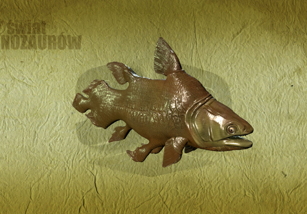 Mawsonia - 3D model by animko [0cc41bd] - Sketchfab
