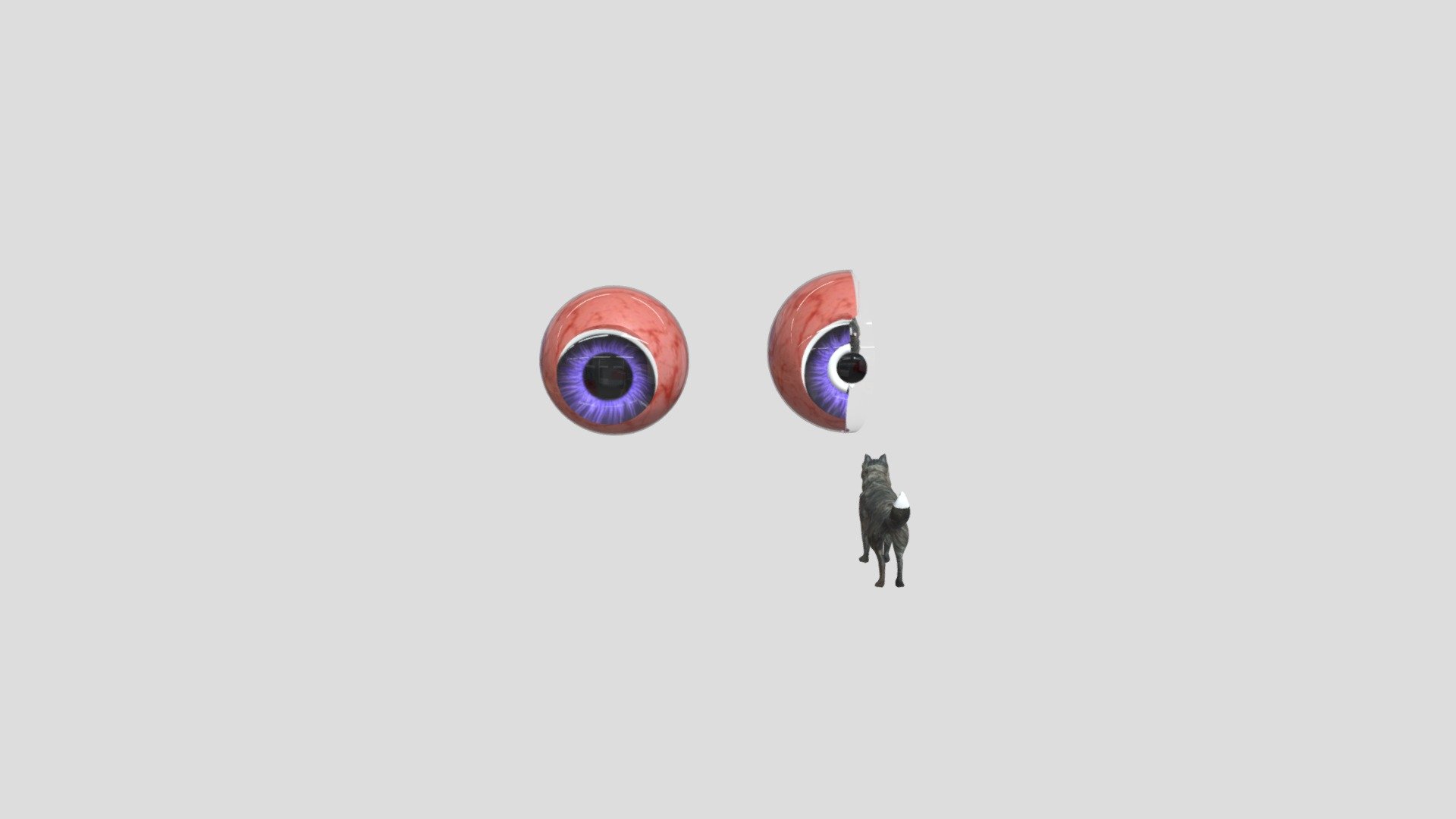 Mata Silindris / Astigmatisma (Faktor Risiko) - 3D model by ...