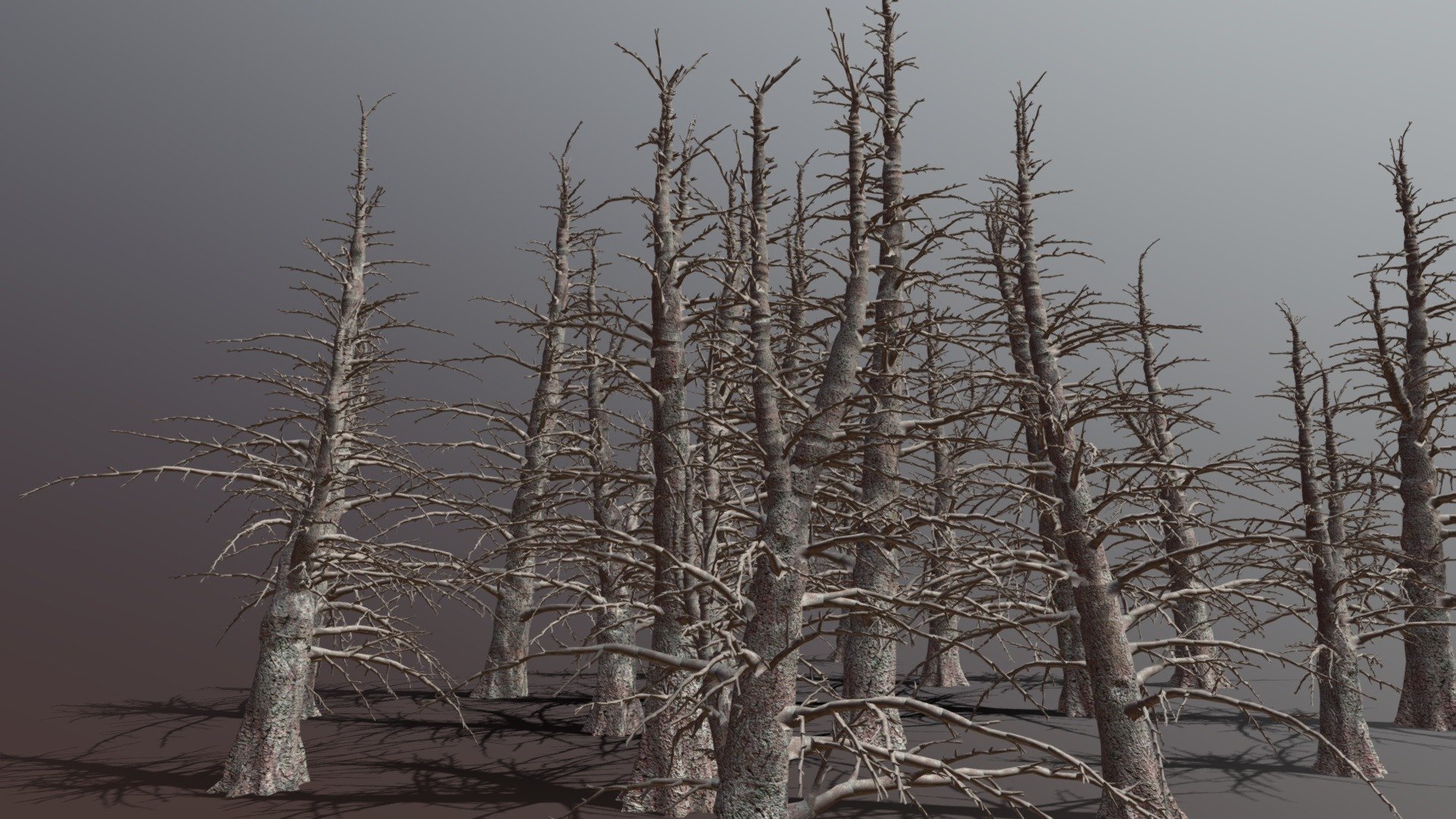 16 Dead Fir Trees Pack (high-Poly) - Download Free 3D model by Sereib ...