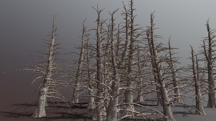 High-poly 3D models - Sketchfab