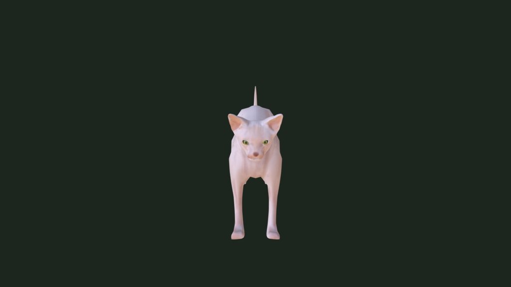 Low-poly Spyhnx Cat - 3D model by TanglingT [0ce5bf3] - Sketchfab