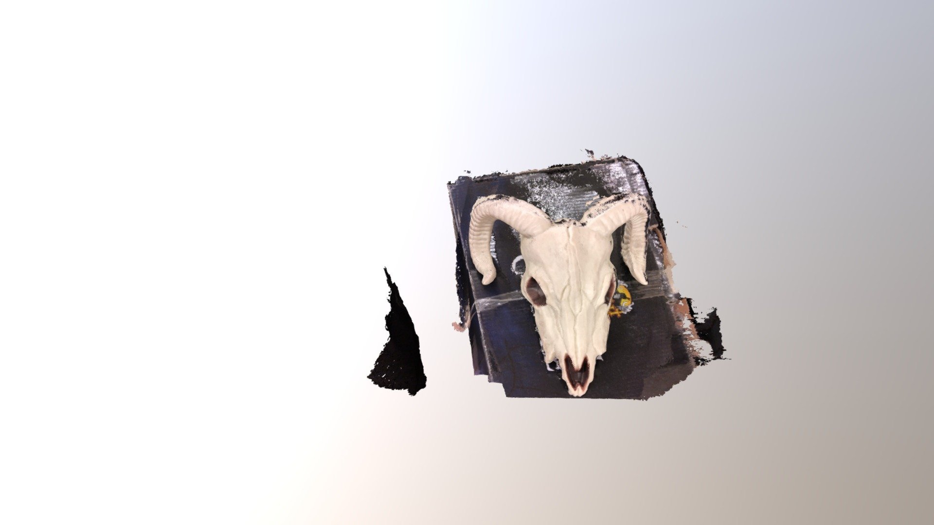 Ram skull - 3D model by elaughli [0ce982e] - Sketchfab