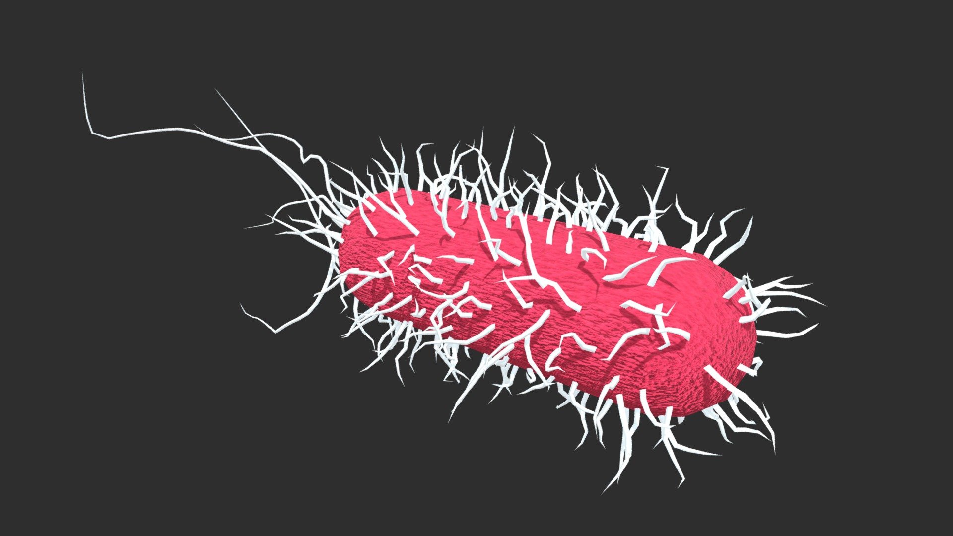 Bacterium - 3D model by XR Lab 3D Assets (@con-xrlab) [0cf1f31] - Sketchfab