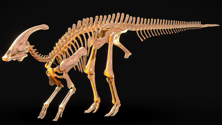 Brachiosaurus 3D models - Sketchfab