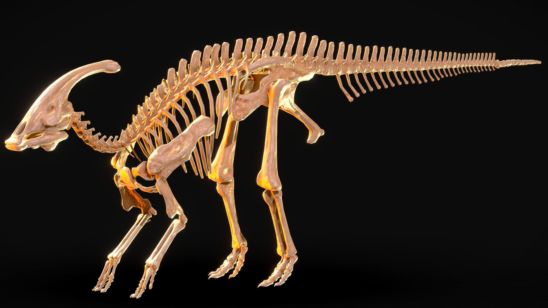 Realistic Reptilians Fossil - Parasaurus - Buy Royalty Free 3D model by ...