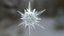Ice "Ninja" Star - 3D model by rafaeldejongh [0cf6b6a] - Sketchfab