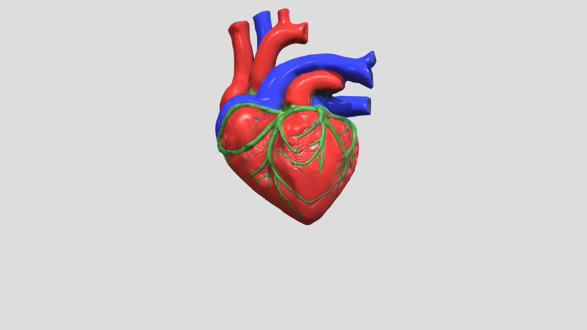 _Create_a_detailed_3D_model_of_a_heart_incorpora - 3D model by roberto ...