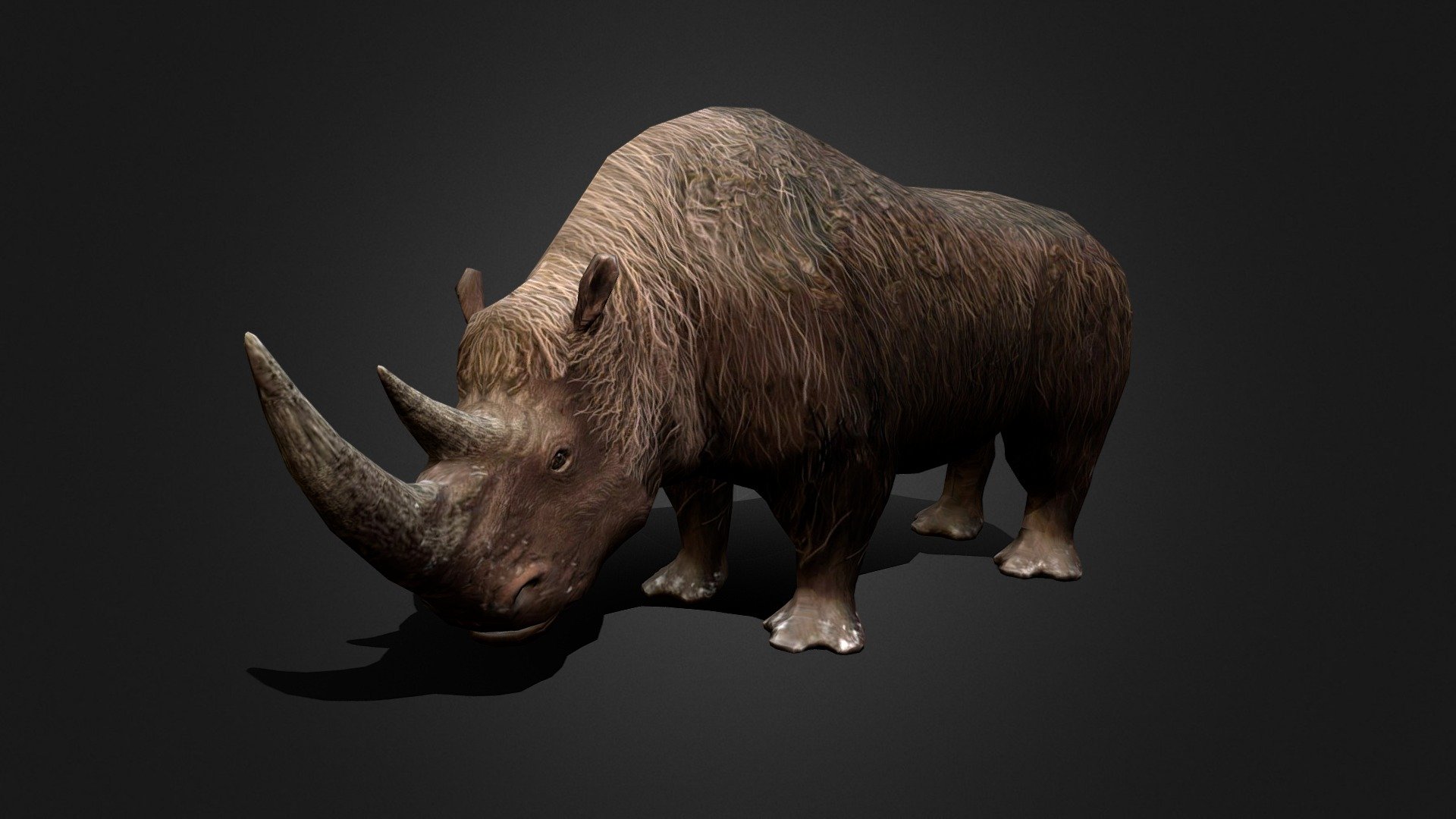 Low Poly Wolly Rhinoceros - Buy Royalty Free 3D model by 3D-IDI ...