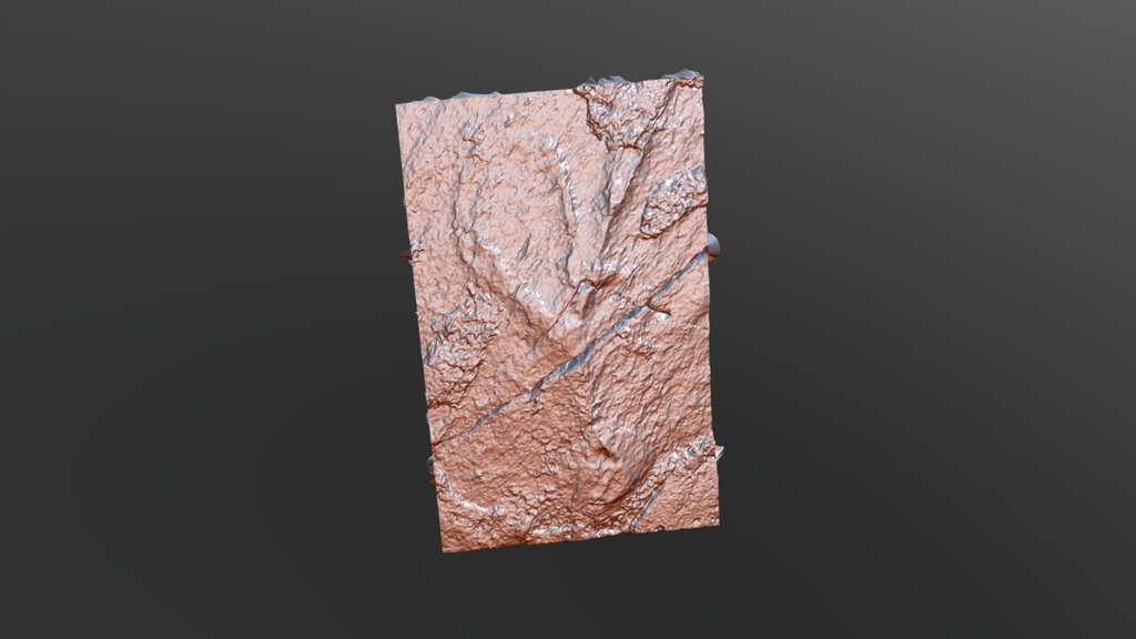 Ediacaran Fossils - A 3D model collection by Emily G Mitchell ...