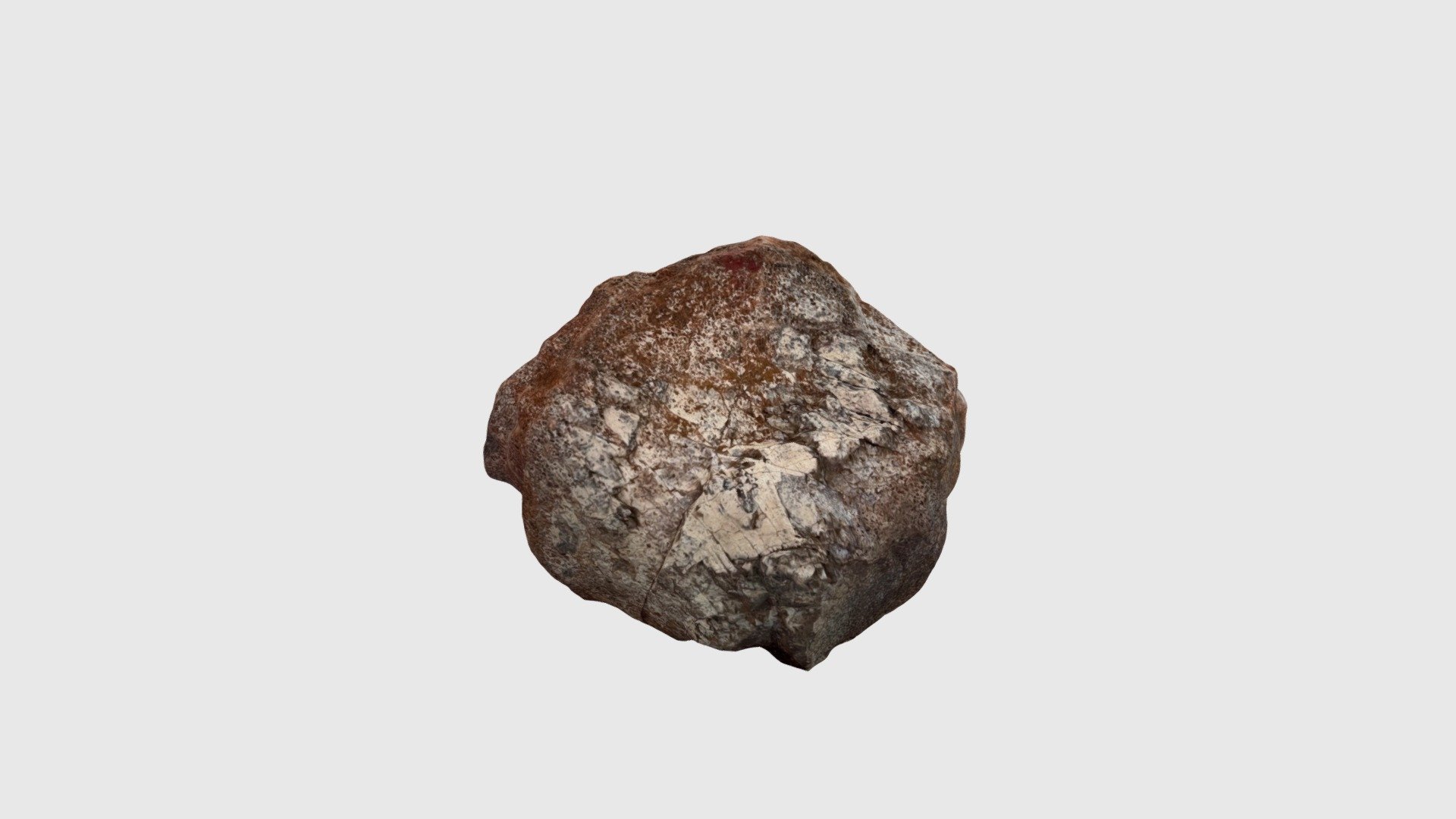 Fossilization Example Petrified Bone - Download Free 3D model by ...