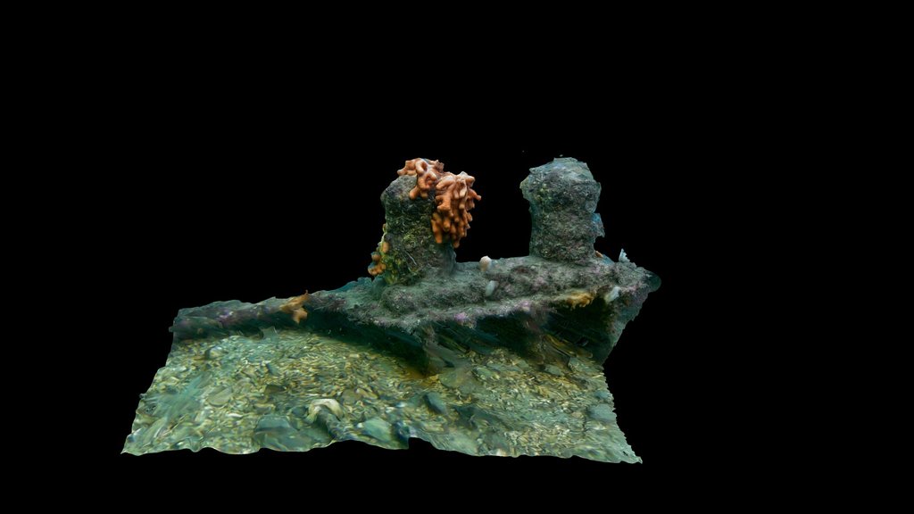 Marine Life - A 3D model collection by Blueye Robotics (@blueyerobotics ...