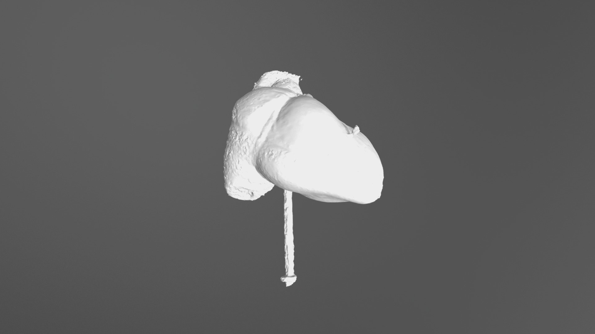 Heart - Low Res - 3D model by David King (@David.King) [0d074c7 ...