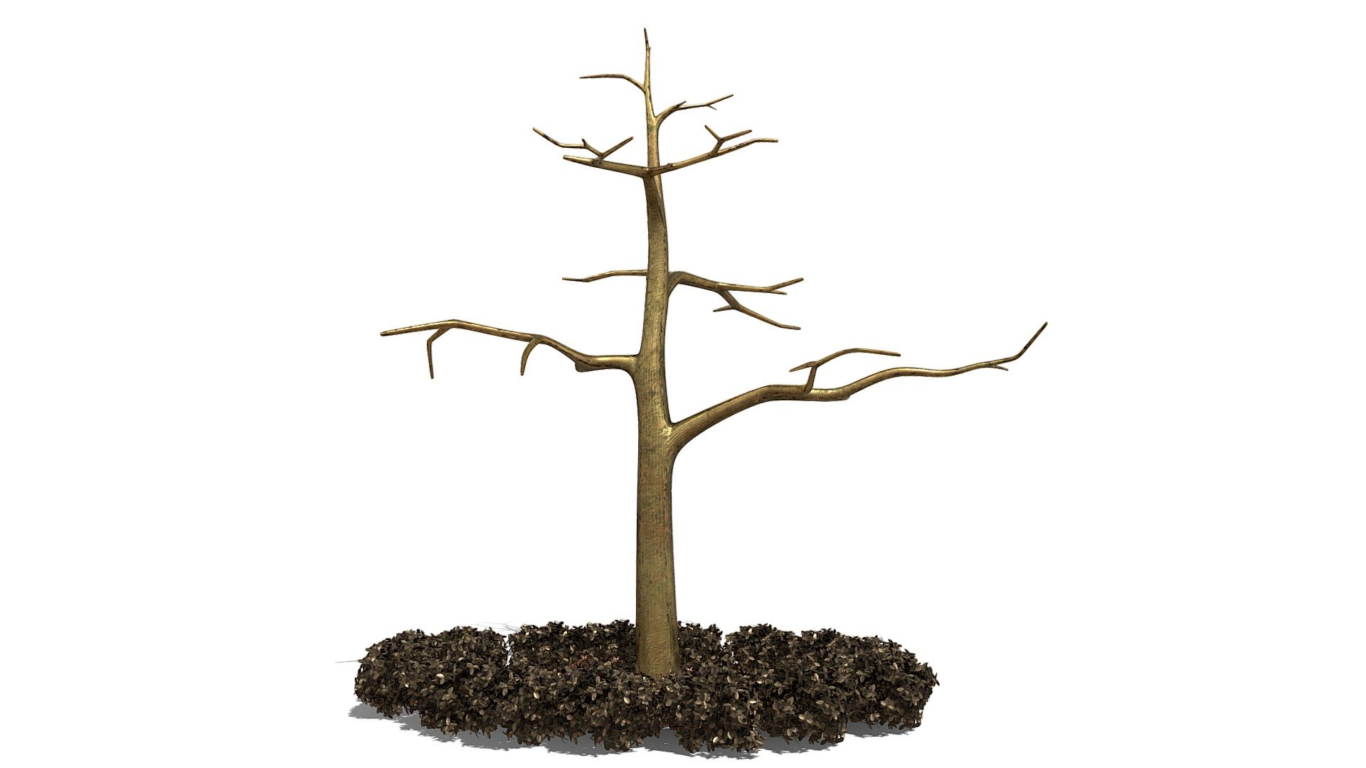 Mo Barren Tree Mo 20 - 3D model by mohamedhussien [0d132a1] - Sketchfab