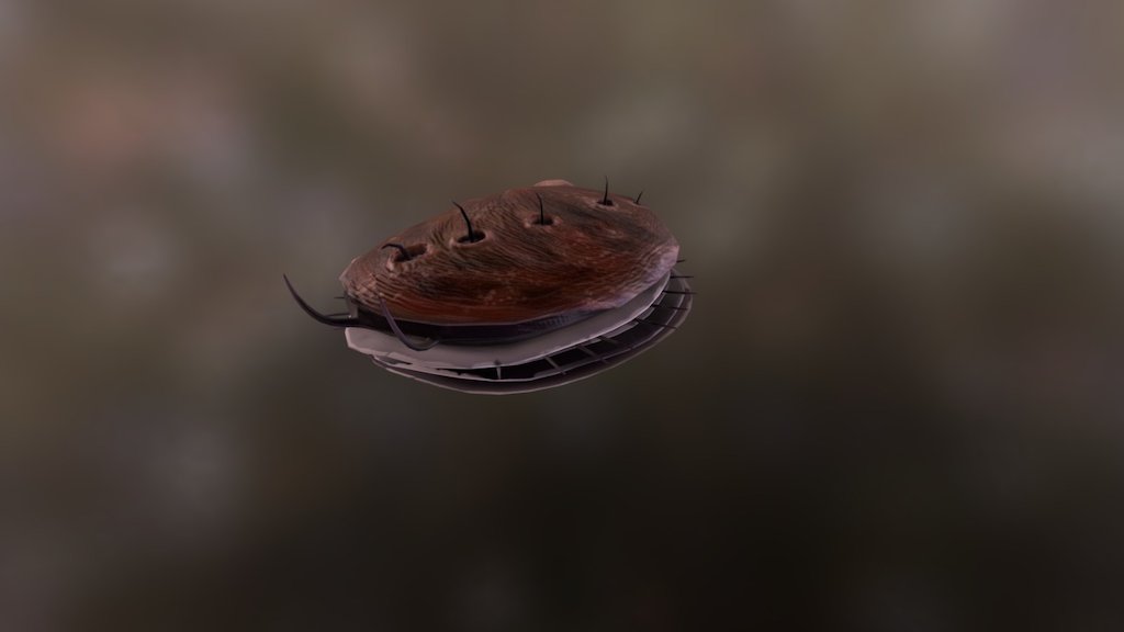 Stylized Red Abalone (Medium Poly Version) - 3D model by J.R.R ...