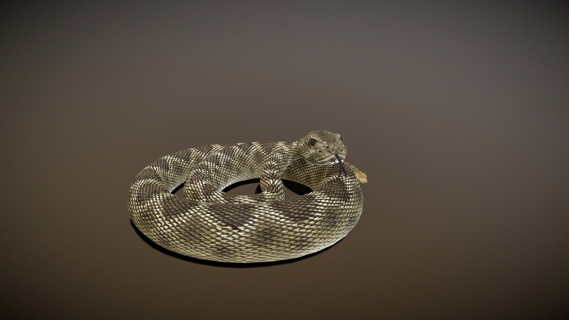 Animation of Rattlesnake attack - 3D model by VR 360° Expert ...