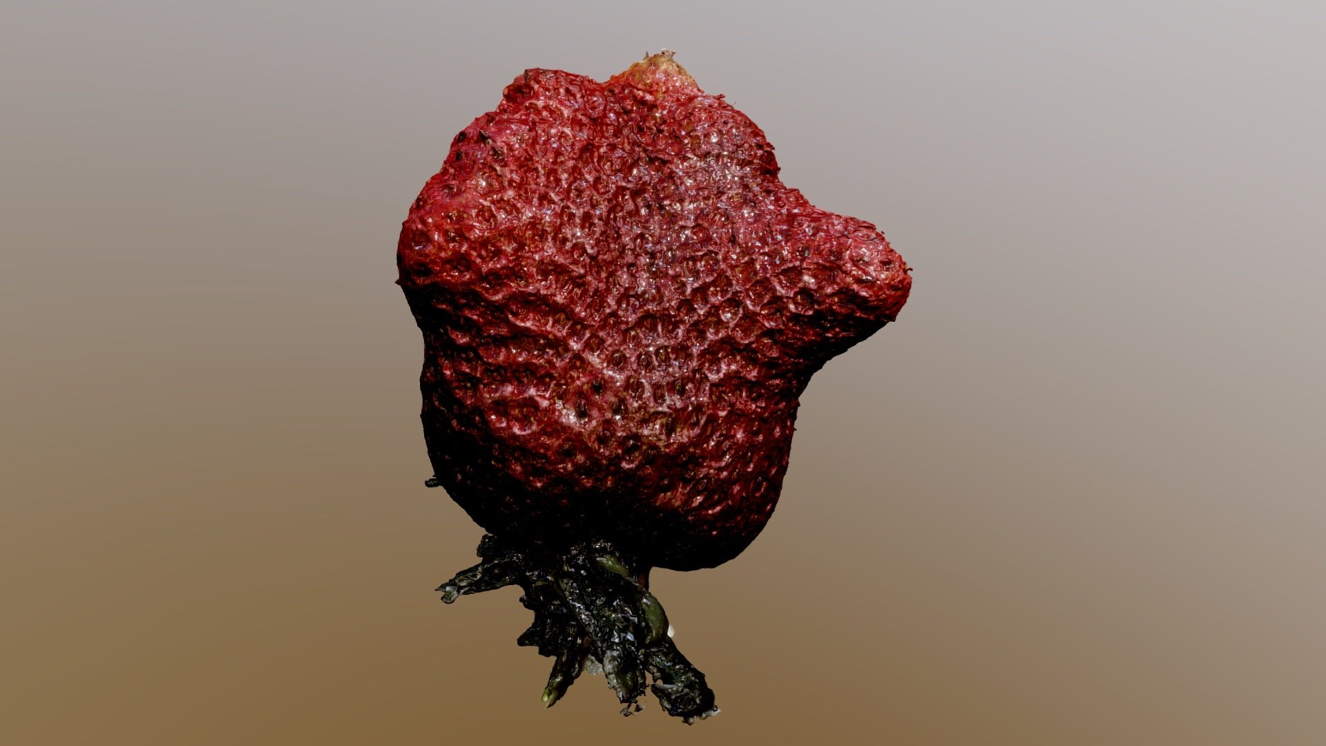 Strawberry - Download Free 3D model by AVZ (@micropalaeontology ...