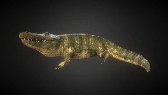 Riptile 3D models - Sketchfab